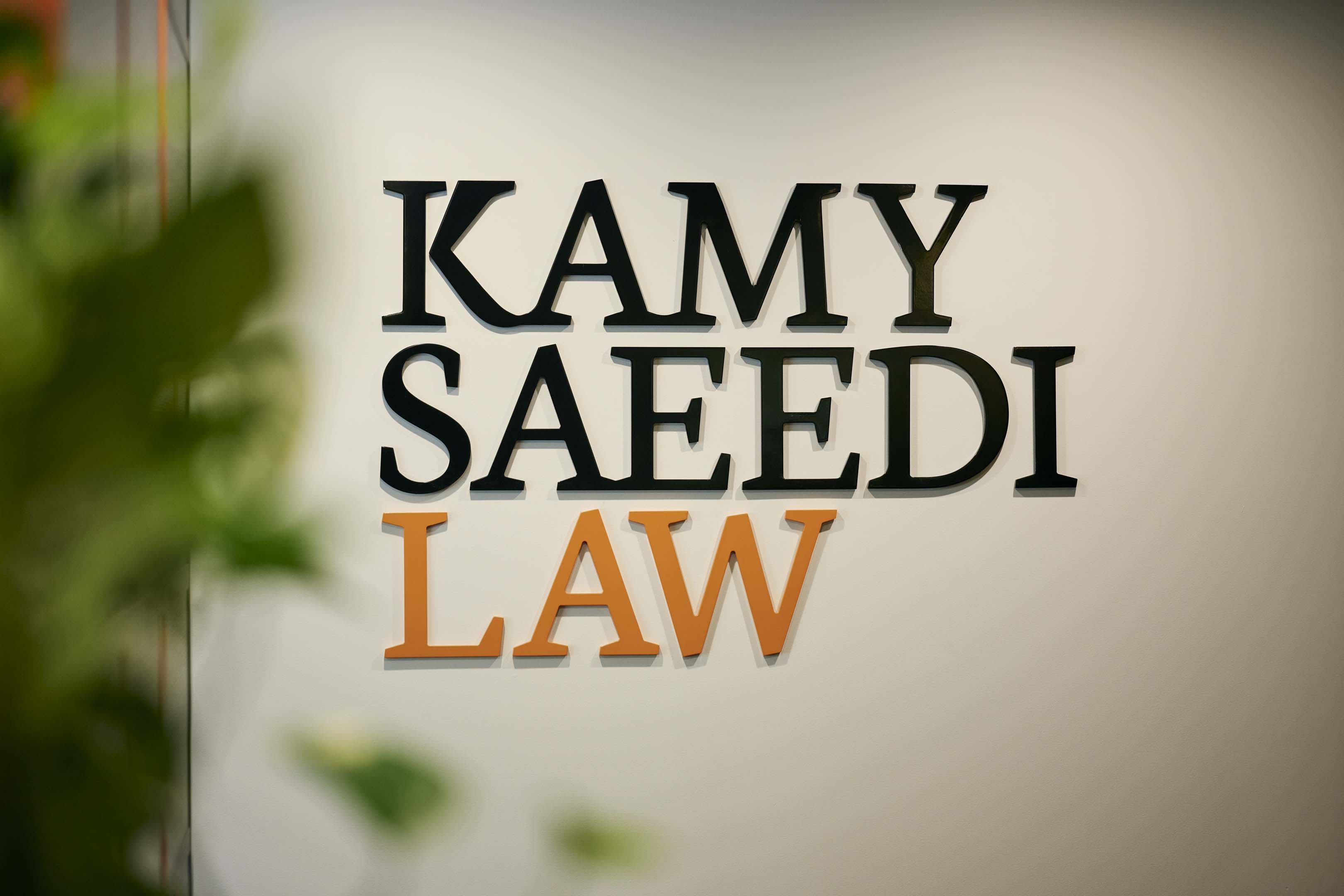 Kamy Saeedi Law » Our People